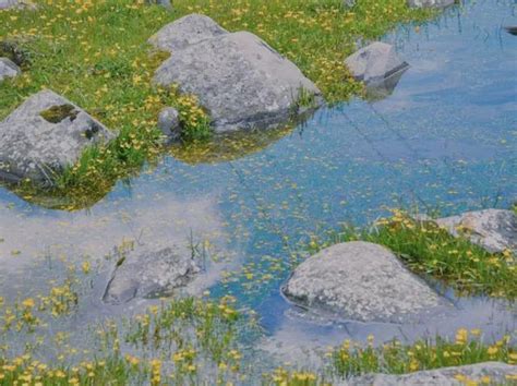 2024芙蓉度假区玩乐攻略 这么热的天气这种地方应该是 【去哪儿攻略】