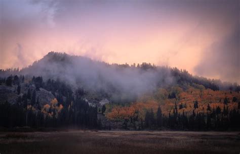 Wasatch Psychedelia Dan Moseson Ph D