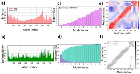 Immunomodulatory Peptides As Vaccine Adjuvants And Antimicrobial Agents