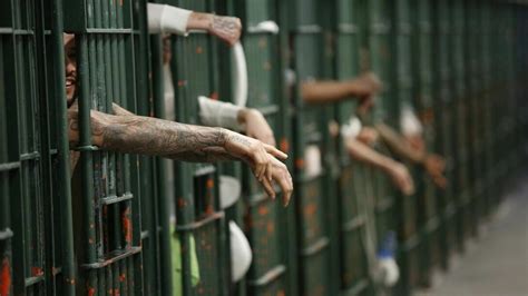 The Cost Of Crime Meer