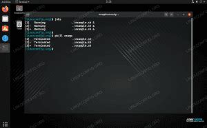 Kill Multiple Processes In Linux Linux Tutorials Learn Linux Configuration