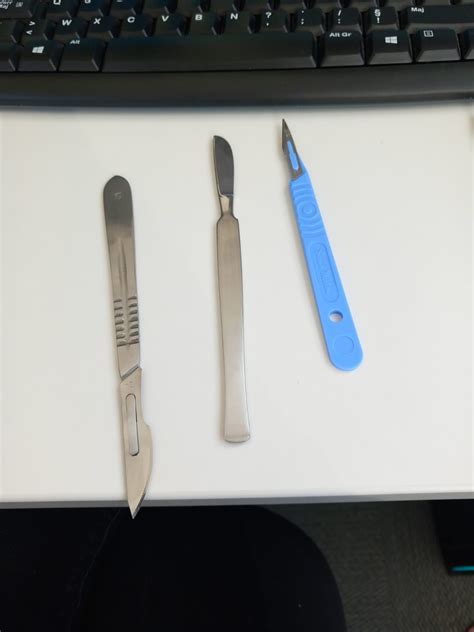 scalpel extended object detection dataset and pre trained model by twiga