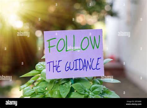 Handwriting Text Follow The Guidance Conceptual Photo Controlling A