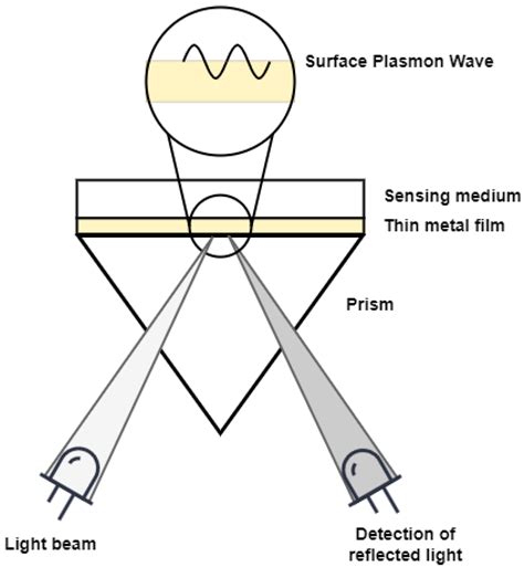Coatings Free Full Text A Surface Plasmon Resonance Spr Based