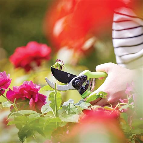 Toolstream Ltd Silverline Secateurs