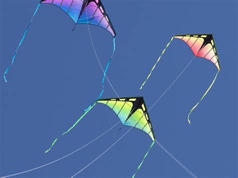Delta Kites Kitty Hawk Kites Online Store