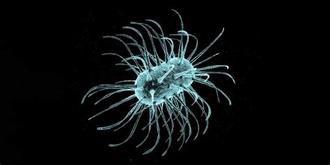 Bioterrorism Is A Growing Threat To Mankind Bill Gates Says