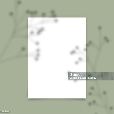 섀도우 오버레이 식물 석고 모형 A4 용지 현대 미니멀 한 스타일로 녹색 배경에 잎의 그림자 오버레이 효과 프레젠테이션 전단지 포스터 빈 로고 초대장 0명에 대한 스톡 벡터