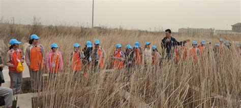 黄河三角洲滨海湿地生态试验站