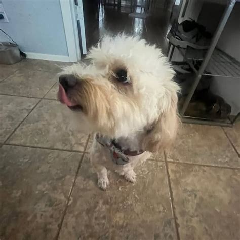 Lily Lilydovejenkins • Threads Say More