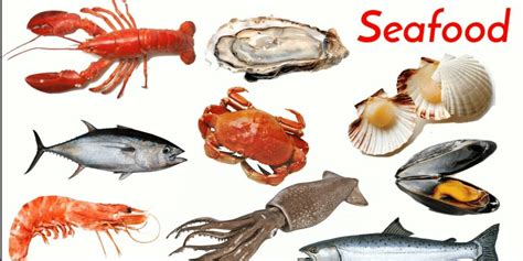 Types Of Seafood List Of Seafood Names With Cool Pictures English Saga