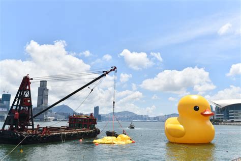 黃鴨│橡皮鴨「單拖」父親節出巡 游勻維港兩岸 同日結束展覽 新冠疫情專頁