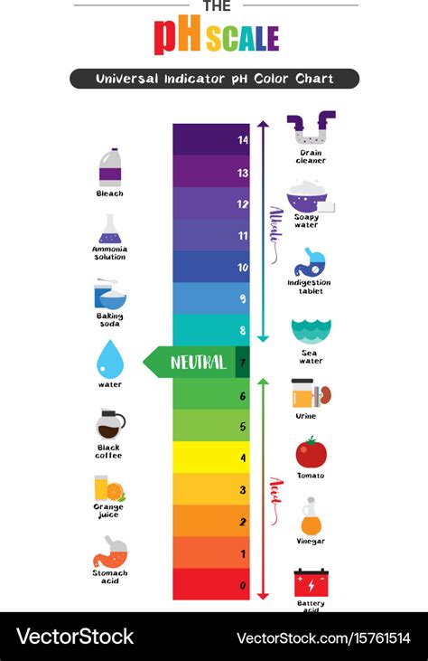 Ph Scale Universal Indicator Color Chart Vector Image