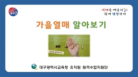 가을열매 알아보기 Youtube