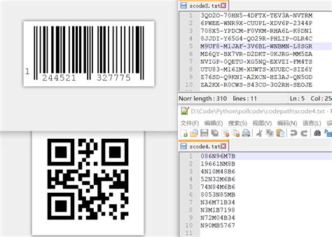 Python小项目 —— 企业编码生成系统 Colourso