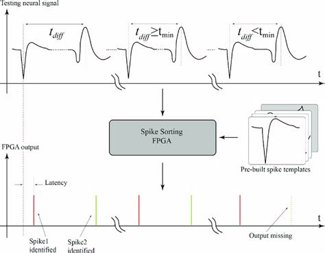 estimate of maximum spike sorting rate and sorting latency for the download scientific diagram
