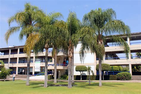 El Cucea Es Un Vivero Gigante Coordinación General De Comunicación Social