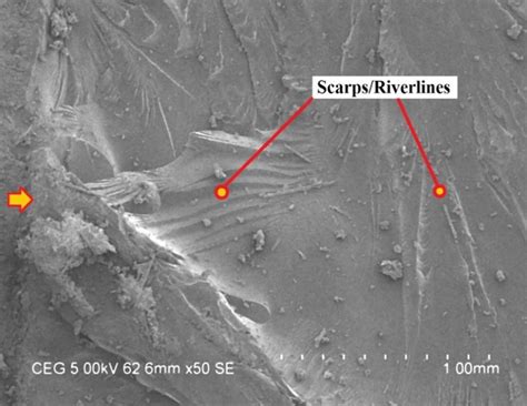 Scanning Electron Microscope Sem Image Of The Fractured Surface Of