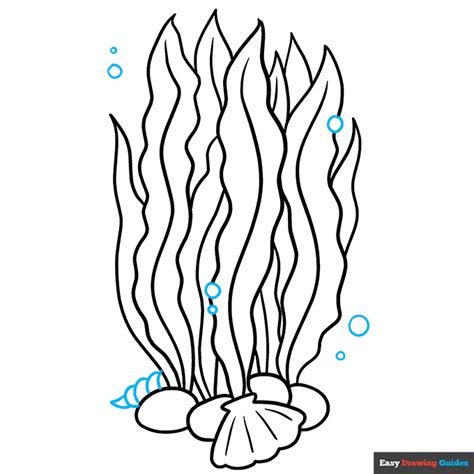 How To Draw Seaweed Really Easy Drawing Tutorial