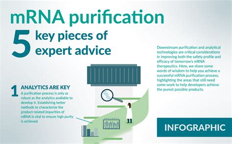 Mrna Purification 5 Key Pieces Of Expert Advice