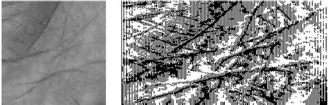A Original Palmprint Image And B Palmcode Obtained From Log Gabor