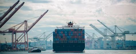 “riding The Defi Wave A Deep Dive Into Decentralized Finance” By