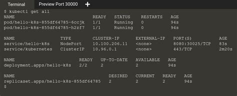 Hello Minikube Pledin 30