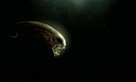 Alien 1979 Xenomorph