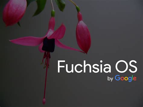 Fuchsia Vs Androidlinux