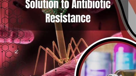 Phage Therapy A Targeted Solution To Antibiotic Resistance