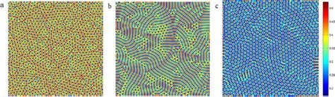 Spatial Patterns Exhibited By Infectious Individuals Under The Download Scientific Diagram