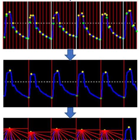 Pli Feature Extraction Steps Resulting Plis Features Download