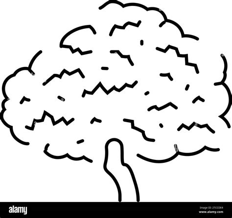 Fig Tree Jungle Amazon Line Icon Vector Illustration Stock Vector Image