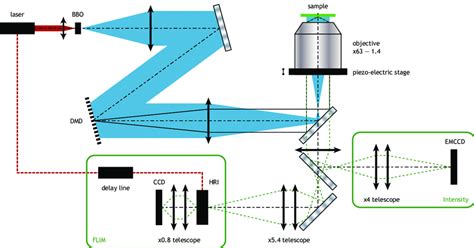 Time Resolved Hilo Microscope Set Up Download Scientific Diagram