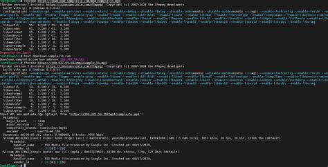 Ffprobeffmpeg Segmentation Fault When Dealing Urls With Domain Name User Customizations Unraid
