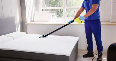 How Long Do Bed Bugs Live Oklahoma Pest Control Guide