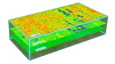 Mavic 3 Multispectral Vs Phantom 4 Multispectral Jaya Intrabumi Niaga
