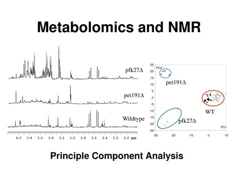 Ppt Nmr And Metabolomics The Possibilities And The Limitations Powerpoint
