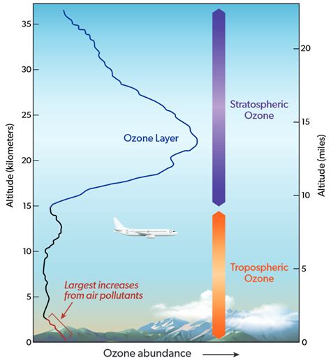 Labeled Diagram That Illustrates How Ground Level Ozone Forms At Lawrence Henderson Blog