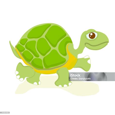 거북이 귀여운 만화 스케치입니다 평면 디자인 녹색 노란 거북 개체 고립 된 디자인 요소 스톡 벡터 0명에 대한 스톡 벡터 아트 및 기타 이미지 Istock