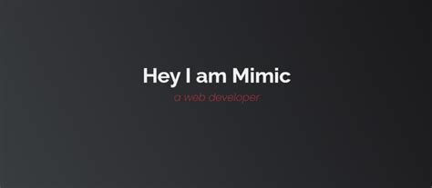 Personal Portfolio Website Using HTML And CSS Source Code