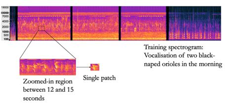 Semi Supervised Learning With Local Prototype Networks Dfki Interactive Machine Learning Lab
