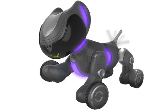 code with pyxel