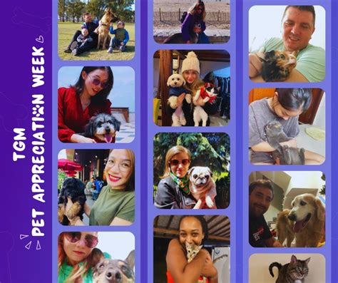 Luiz Pelegrini Posted On Linkedin