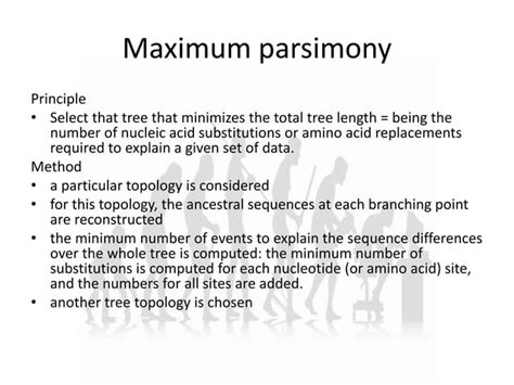 Phylogenetic Tree Construction Pptx