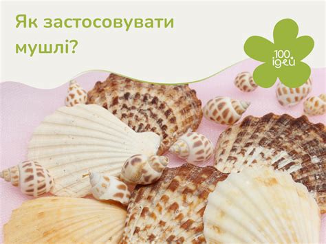 Мушлі купити товари в Києві з доставкою по Україні Ua