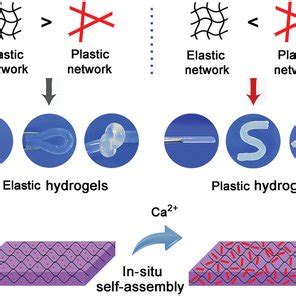 Design And Synthesis A Schematic Illustration Of The Competition Download Scientific Diagram