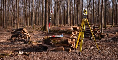 Tree Surveys And Consultancy London Cook Arboricultural Services