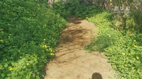 马耳他这个自然保护区喊你来郊游 凤凰网视频 凤凰网