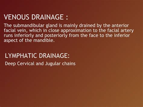 Submandibular Salivary Glands Antomy Ppt